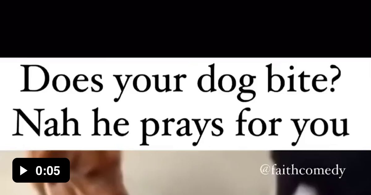 Doggo choose peace today. - 9GAG