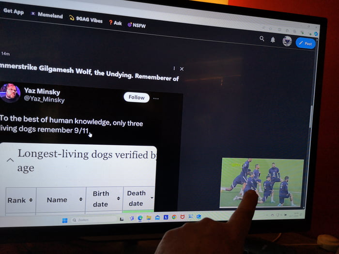 What the f**k is this 9gag? - 9GAG