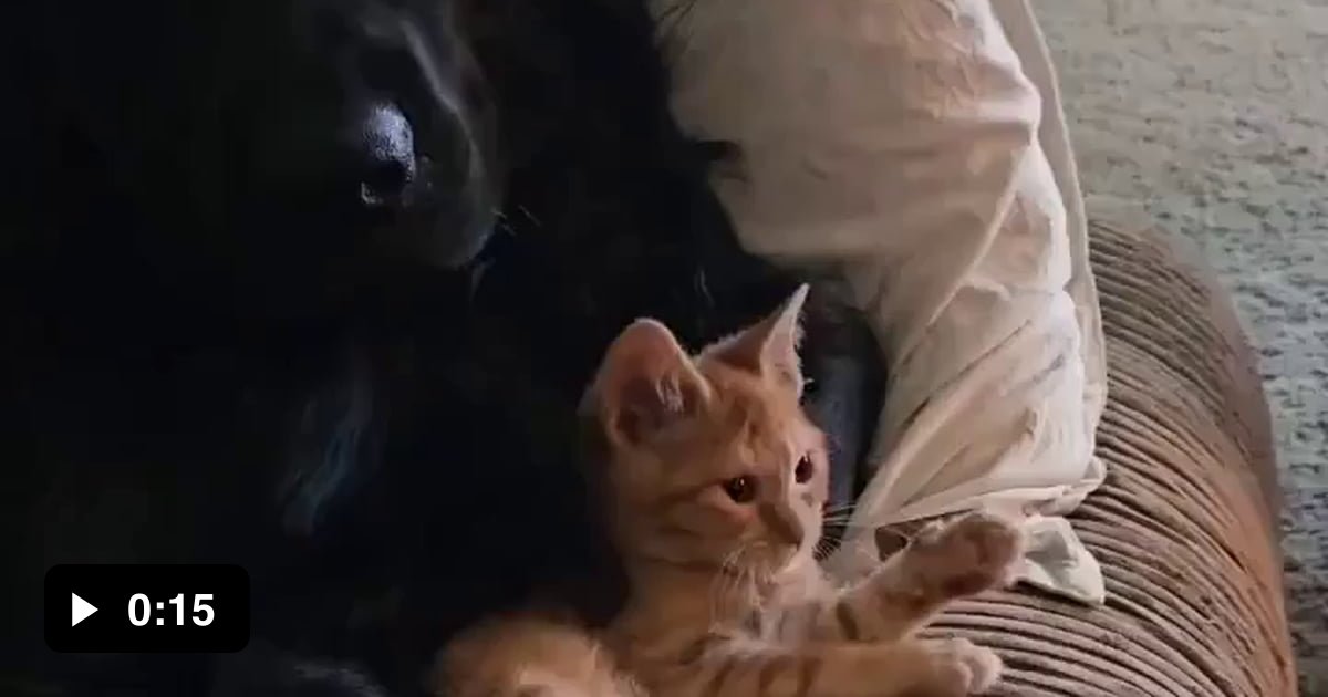 Hands off human - 9GAG