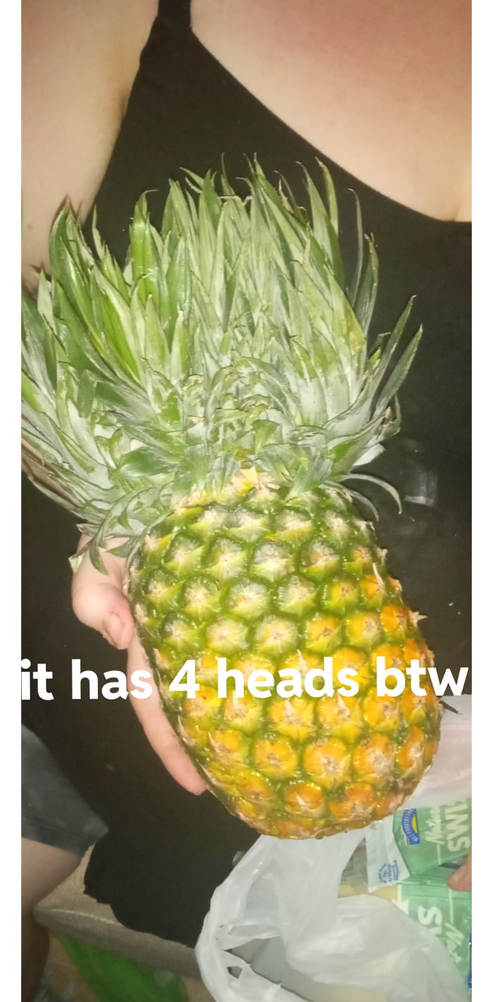 Of a pineapple - 9GAG