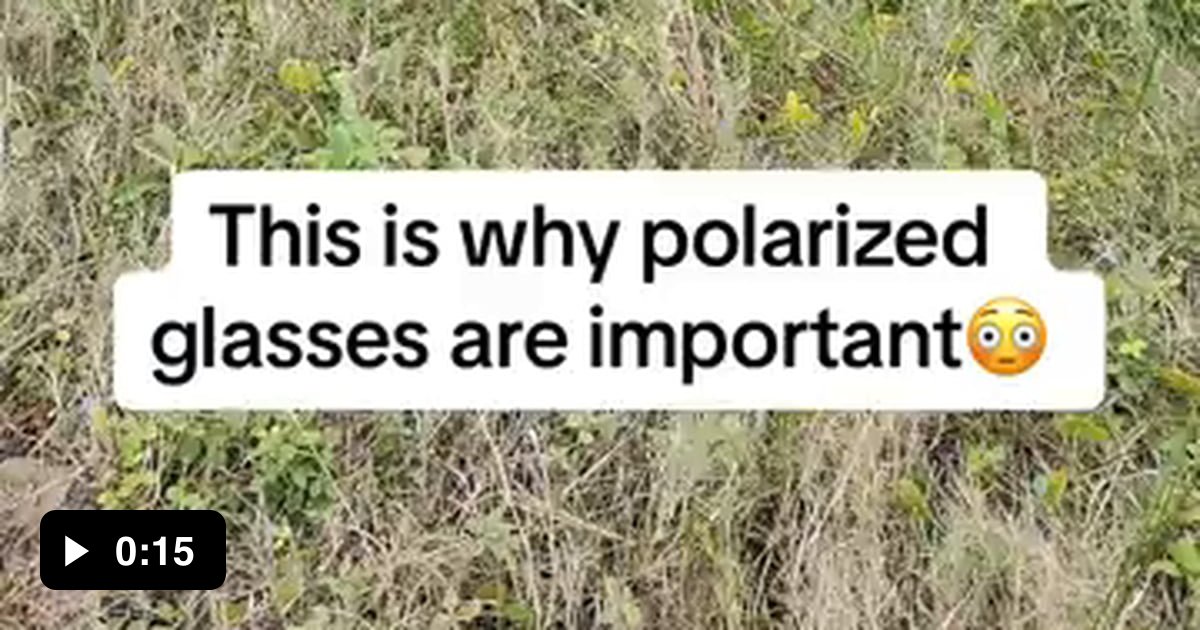 Polarized glasses let you see through water - 9GAG