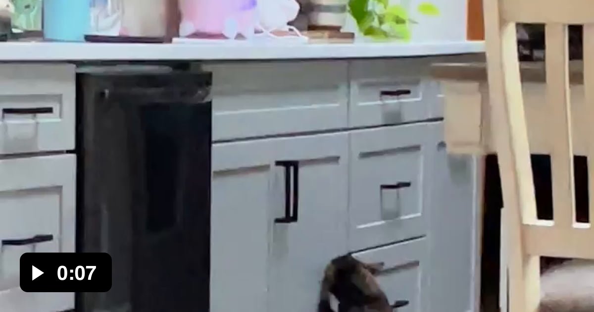 Strange little creature - 9GAG