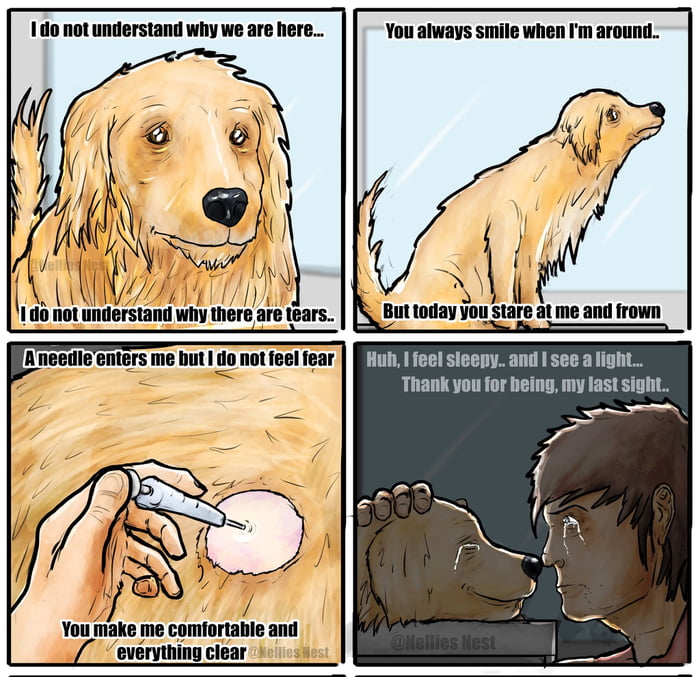 I cried.. And so will you - 9GAG