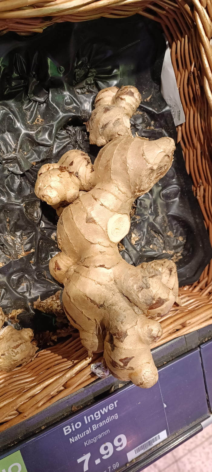 Of A Ginger 9gag