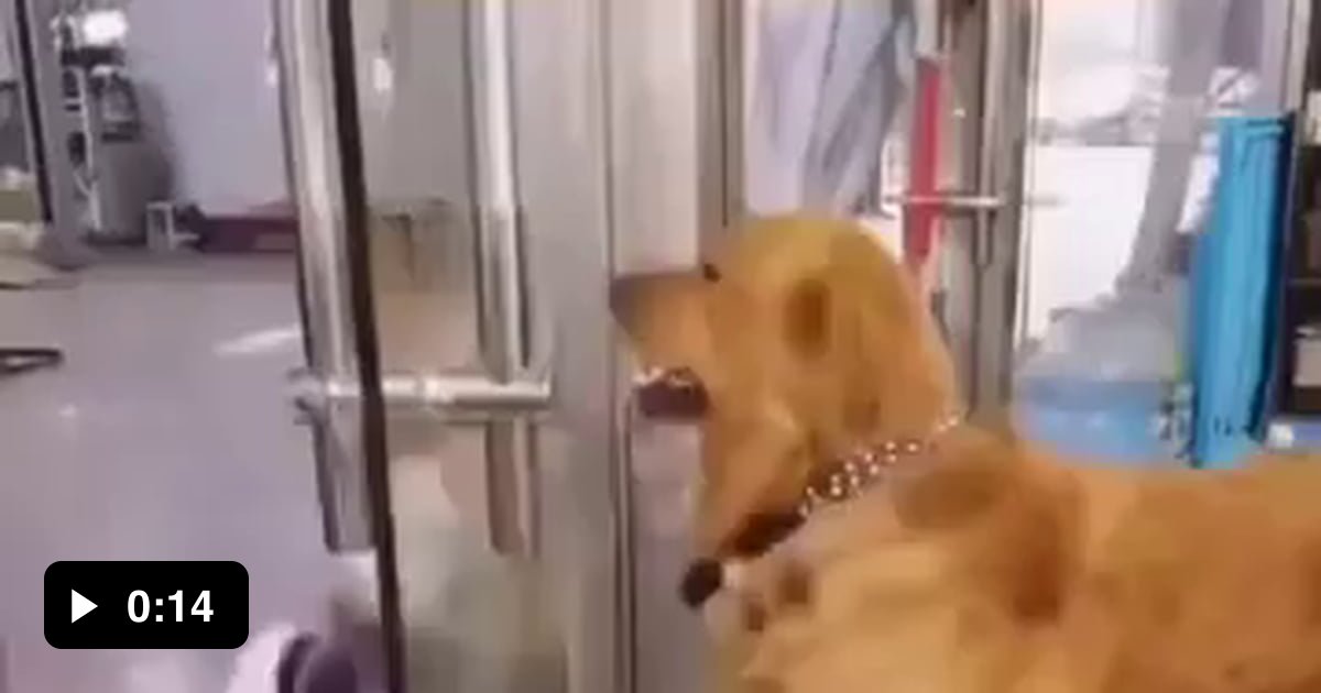 Time out! Time out! Okay, time in. - 9GAG