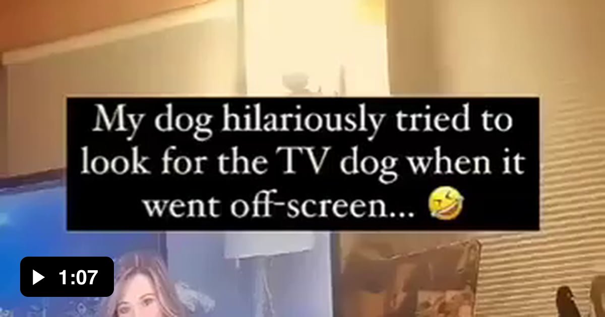 Very innocent reactions. 😂 - 9GAG