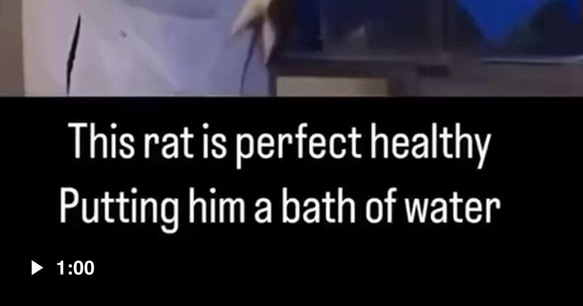 Who's eating junk? - 9GAG