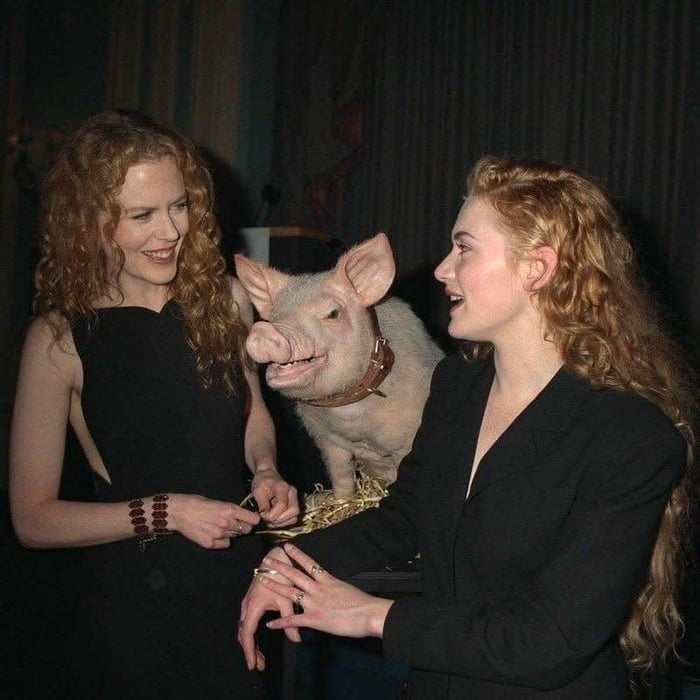Nicole Kidman and Kate Winslet with Babe the Pig at the Oscars, 1996 ...