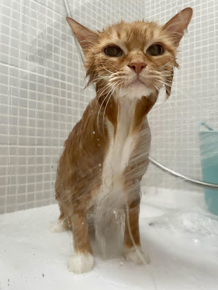 It’s bath time :) - 9GAG