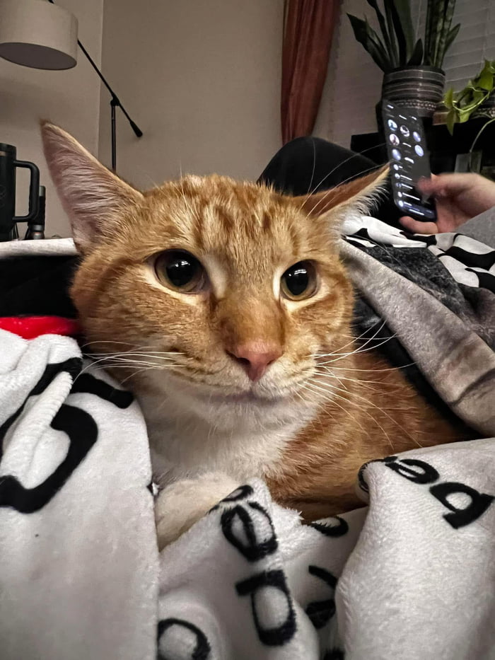 Everyone say hello to Handsome - 9GAG