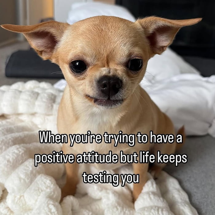 Trying to keep it together when life hits different - 9GAG