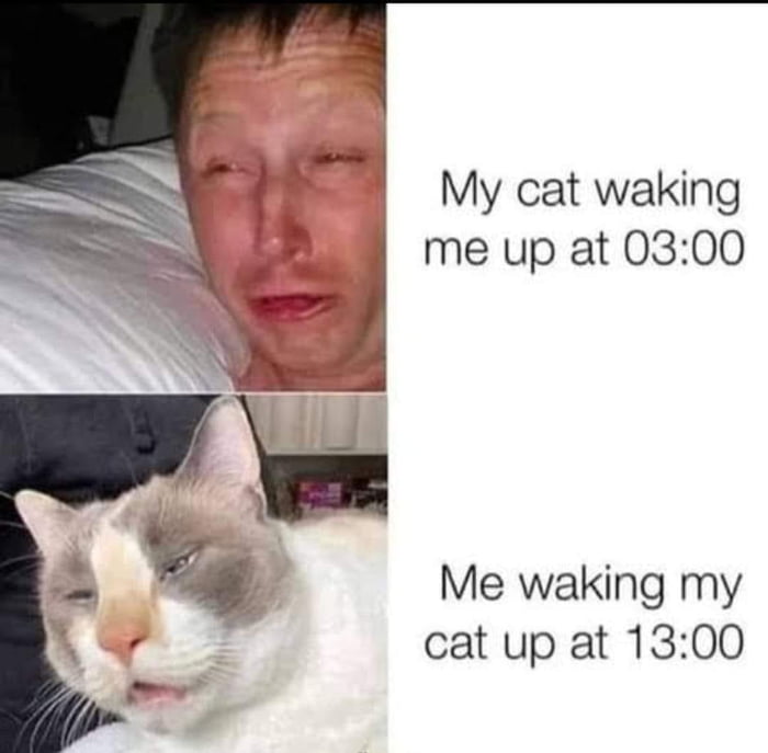 Now its your turn to wake up little shit - 9GAG