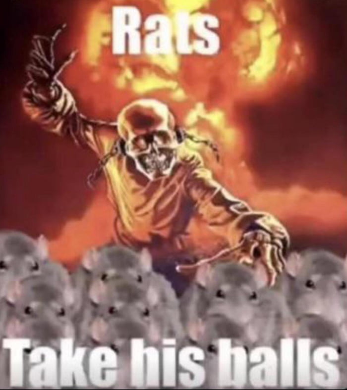 Ratterler, controller of ball taking rats - 9GAG