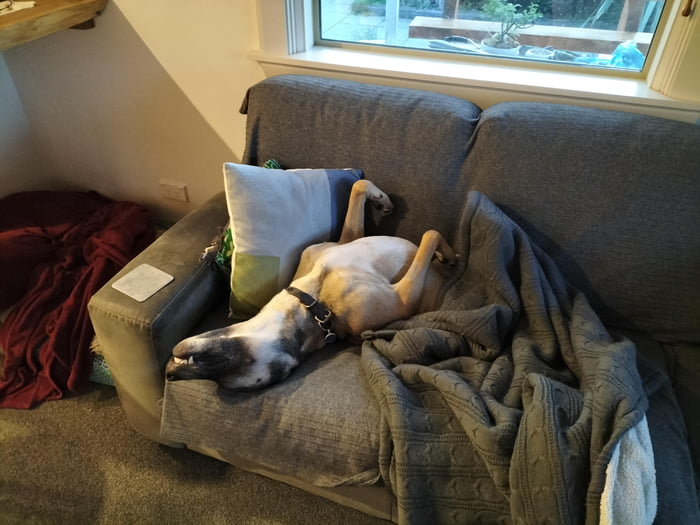 The couch ate him - 9GAG