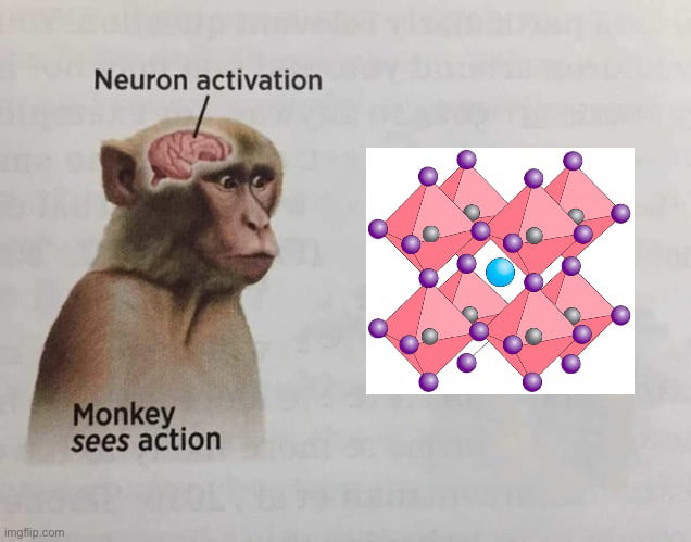 Monkey neuron activation meme - 9GAG