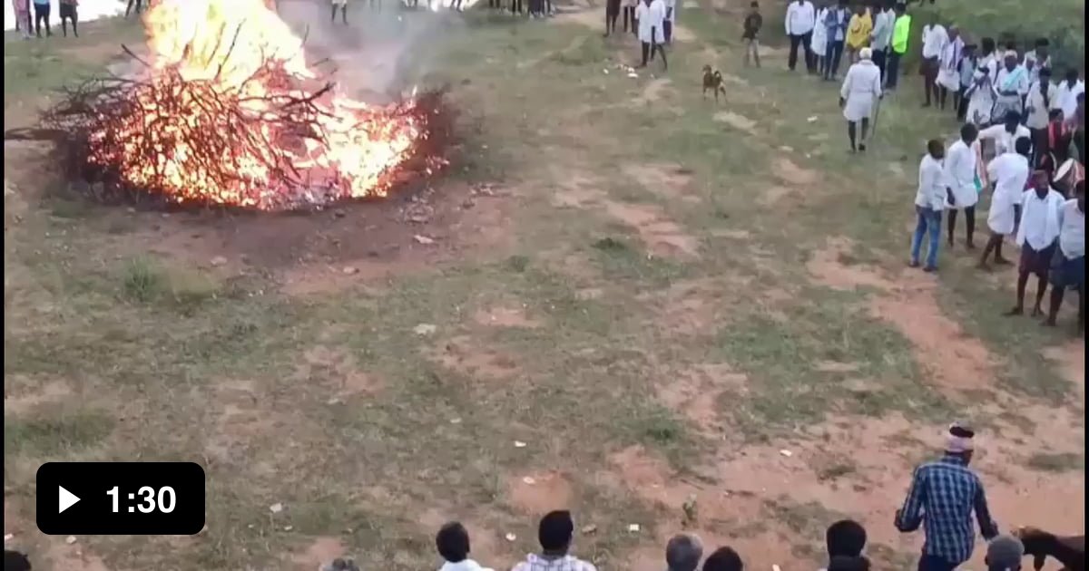 A herd of goats is led to loop a bonfire - 9GAG