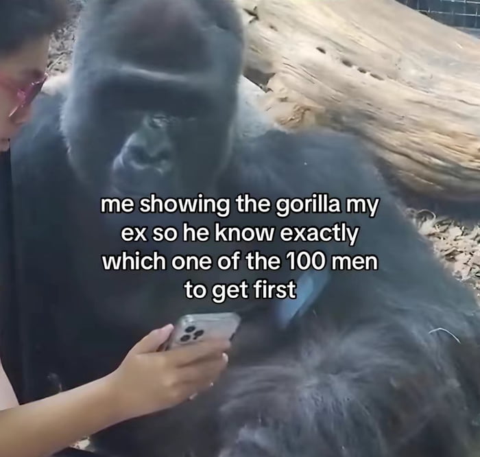 When you need backup, go ape - 9GAG