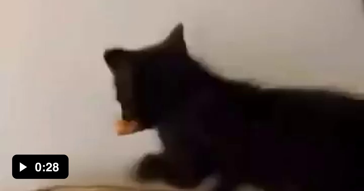 Tiny void caught red-handed - 9GAG