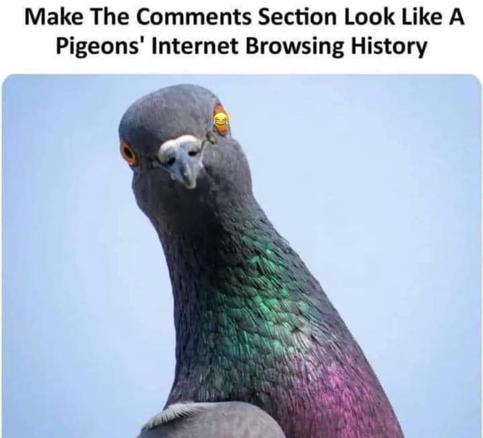 Go on, you go first - 9GAG