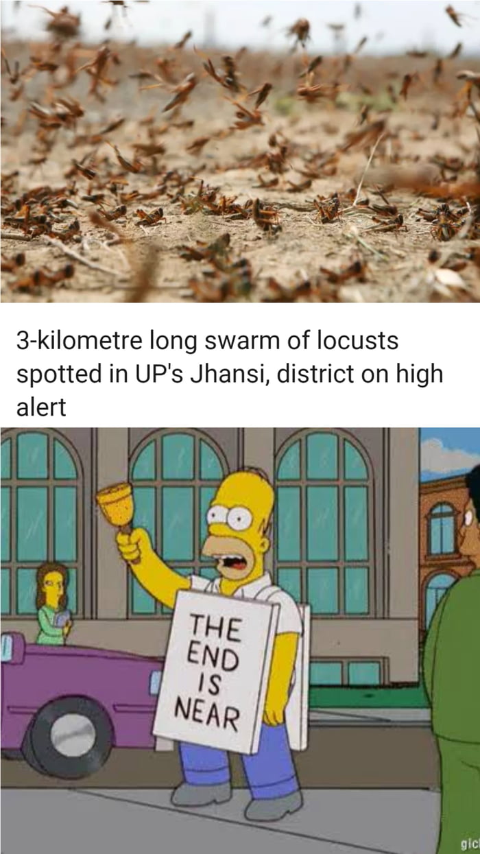 Locust Swarms in India. - 9GAG