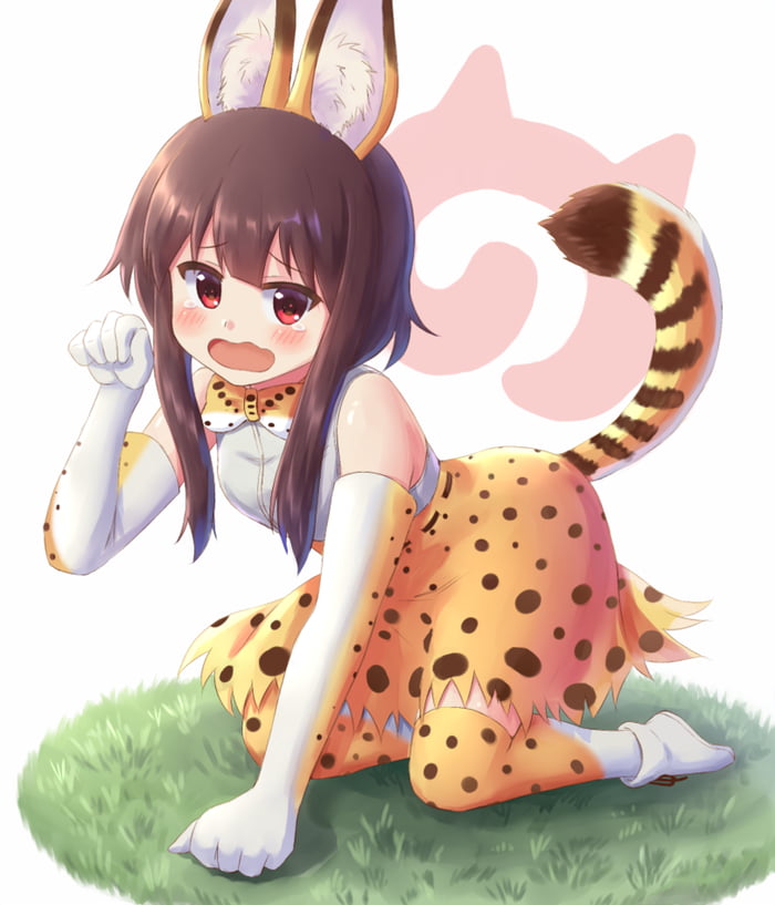 Megumin the Serval - 9GAG