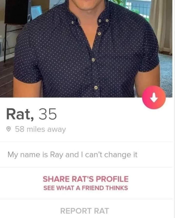 This rat is so hot - 9GAG