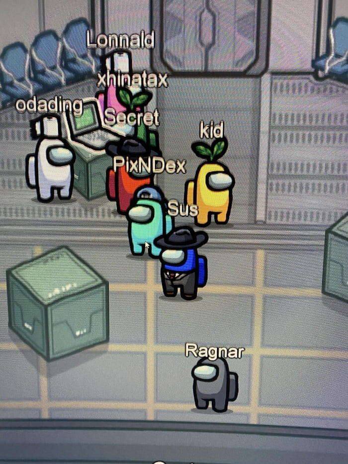 He looks kinda sus... - 9GAG