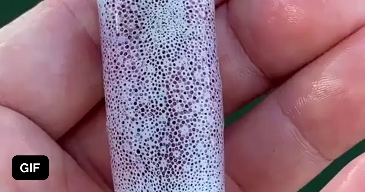 Psychedelic Squid - 9GAG