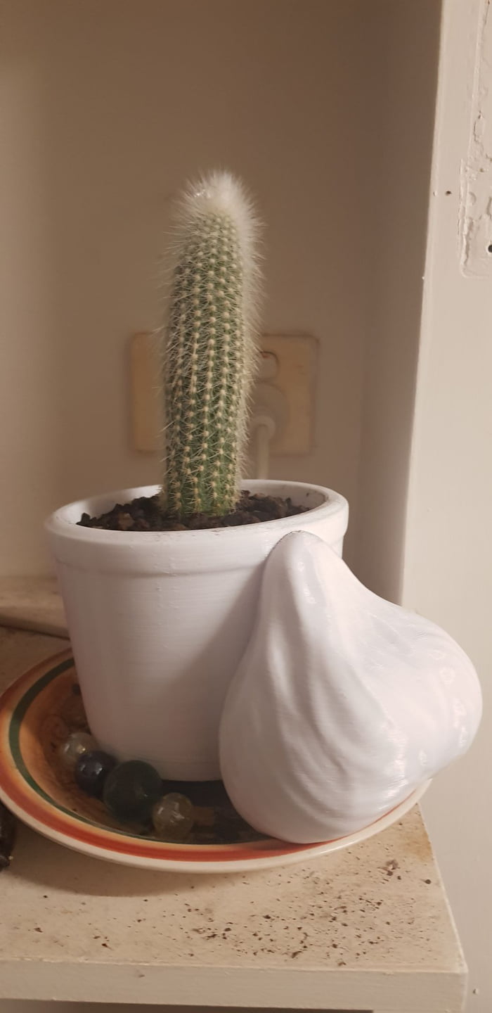 My boyfriend always calls it a cocktus now it has some balls to go with ...