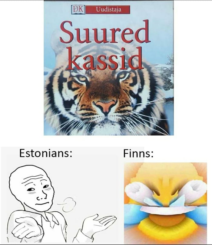 Suured kassid.. - 9GAG