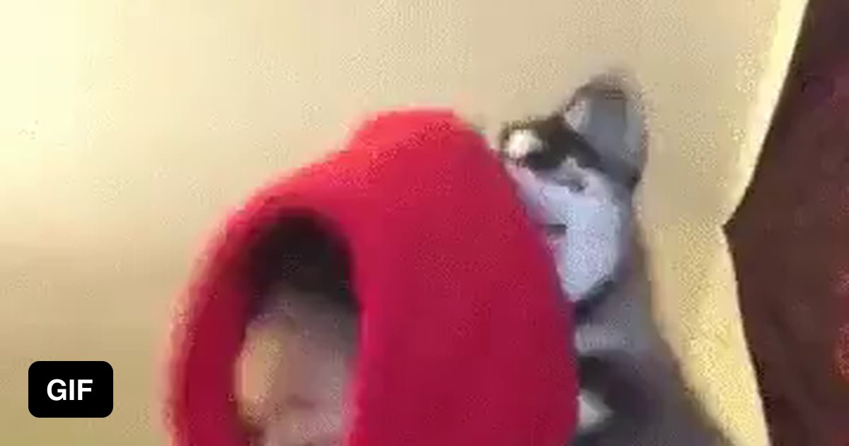 Best reverse gif ever. - 9GAG