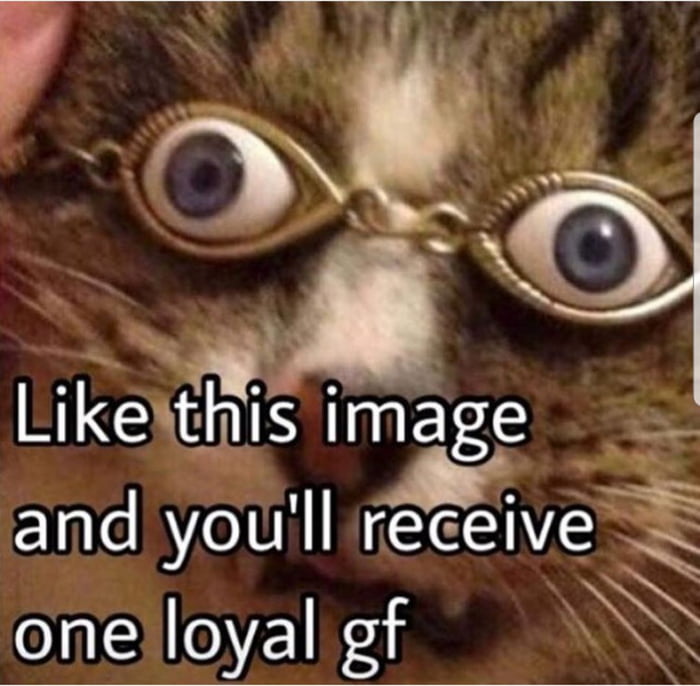 Hoping hard enough will do it too! - 9GAG