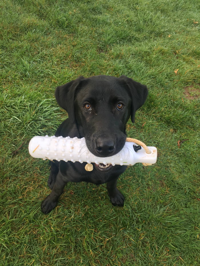 No take! Only Throw! - 9GAG