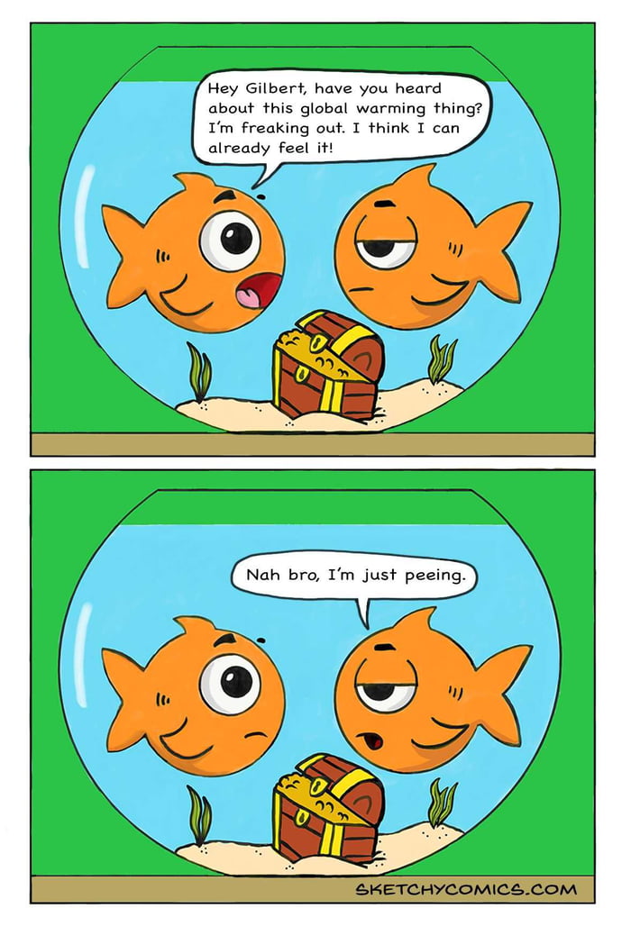 2 Fish 1 Bowl - 9GAG