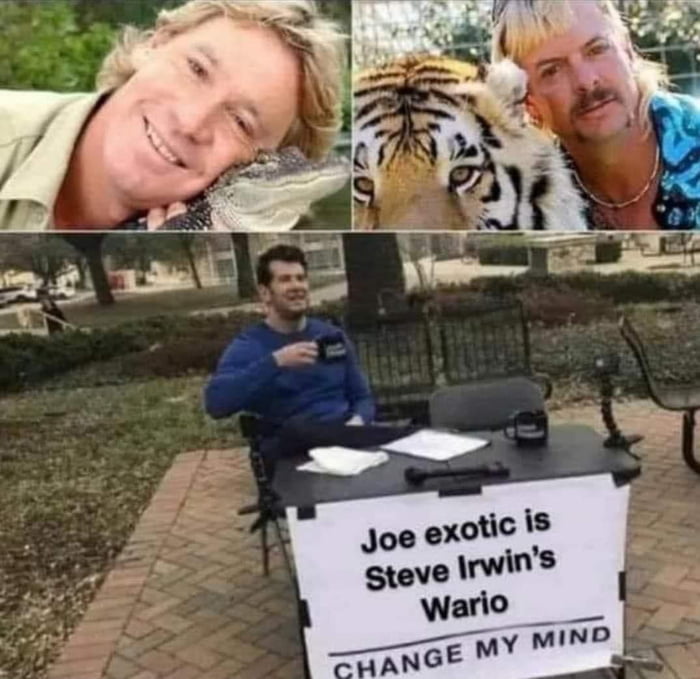 Steve Wario or Joe Wario? What about Wario Exotic? - 9GAG