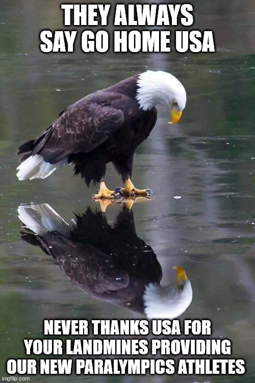 Sad eagle is sad - 9GAG