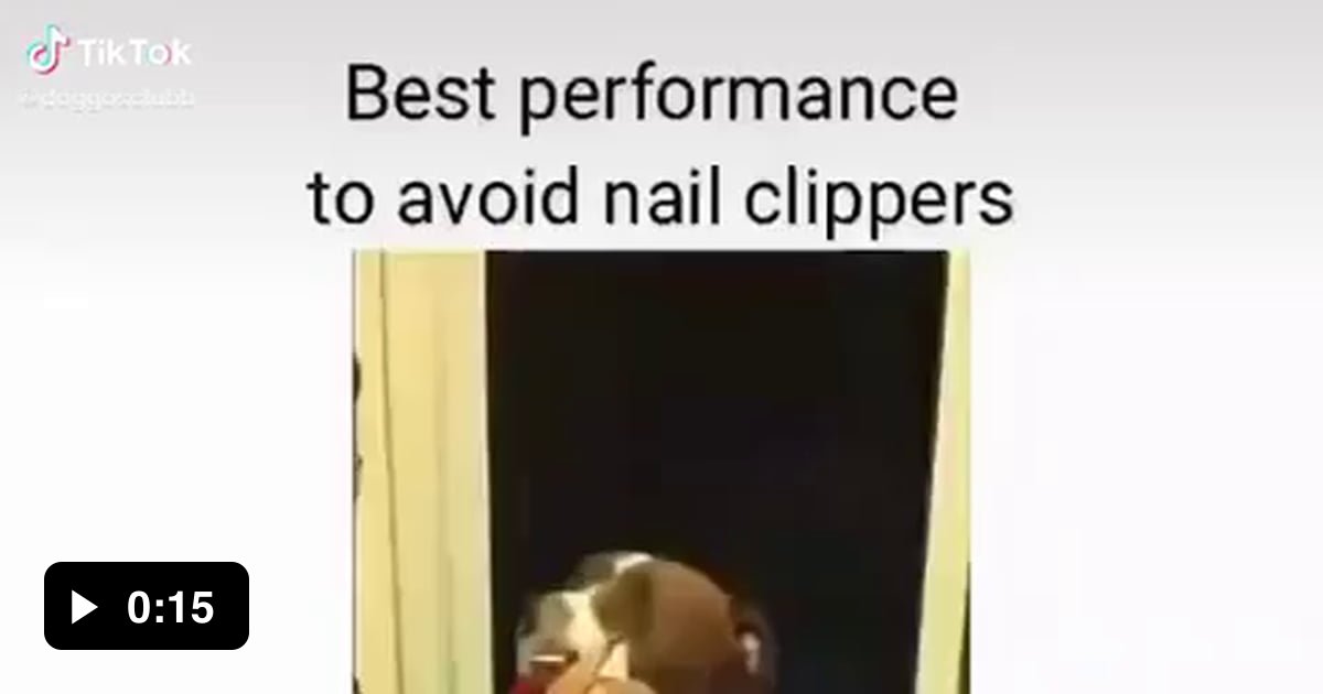 Oscar award winning performance here - 9GAG