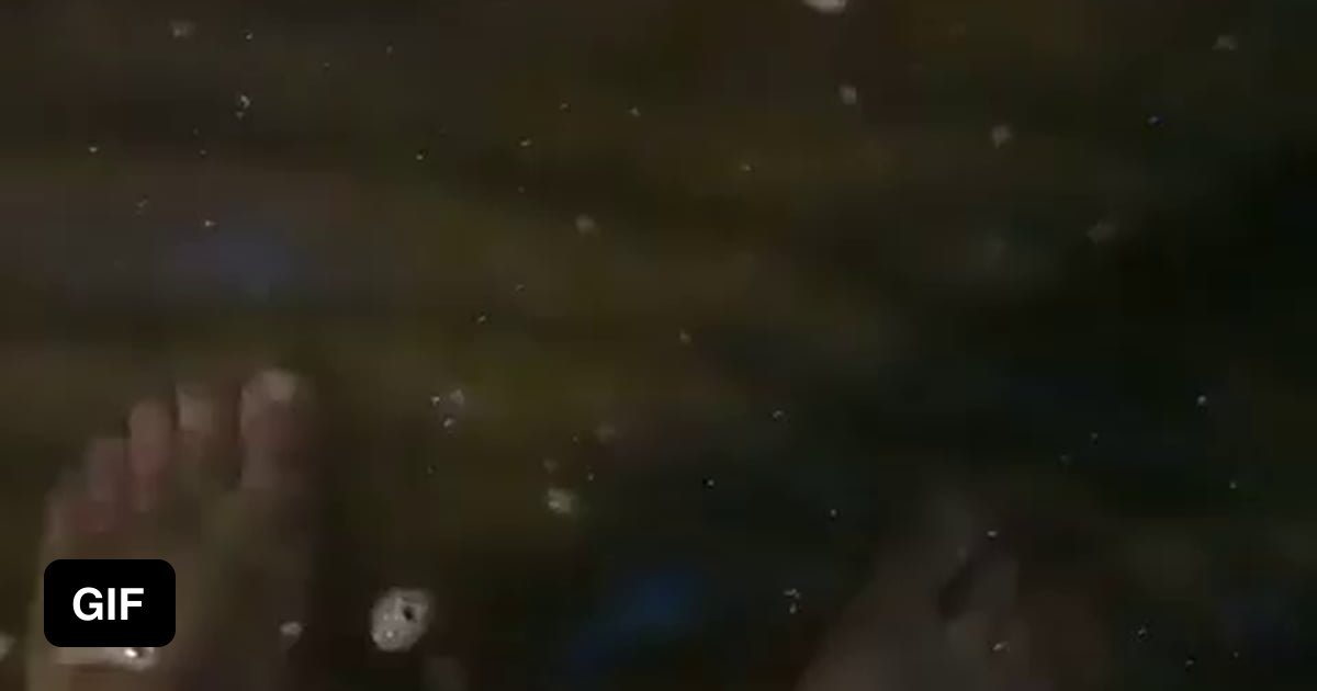 Walking through bioluminescent plankton. This unique phenomenon is ...