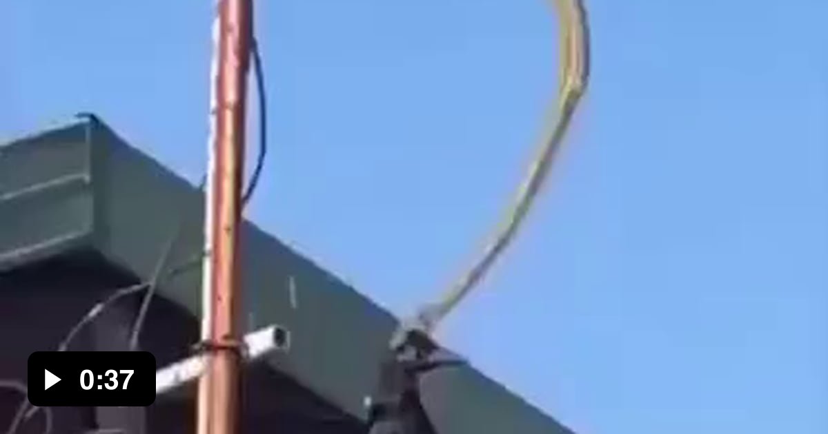 Snake on power pole killed Crow in a second - 9GAG