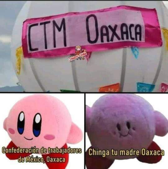 Mientras tanto en Oaxaca - 9GAG