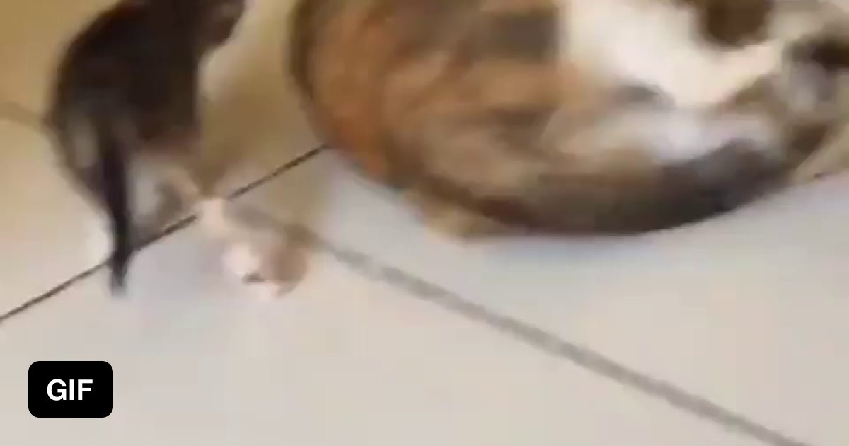 Ctrl+C, Ctrl+V - 9GAG