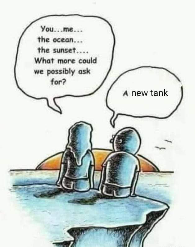 Just one new fish tank. - 9GAG