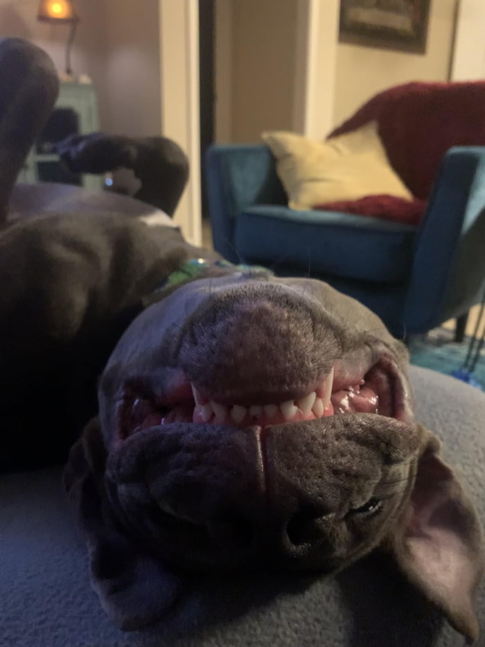 Forever derpy. - 9GAG