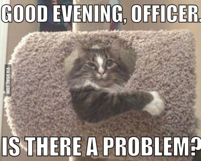 Good evening, Officer. - 9GAG