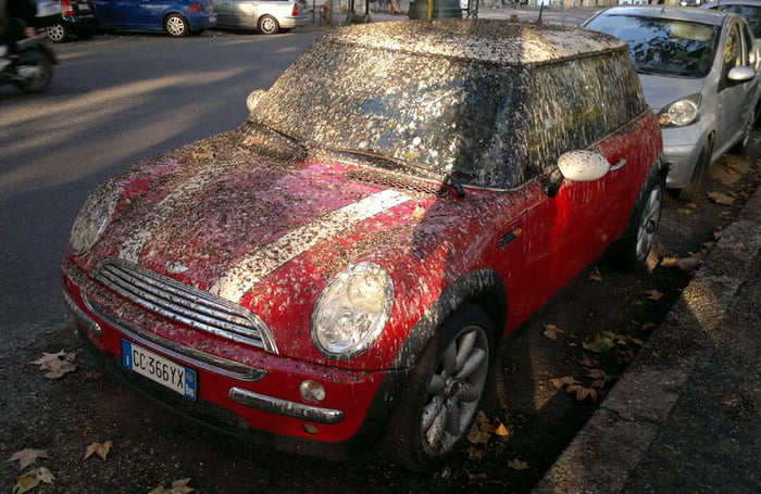 The Mini Pooper - 9GAG