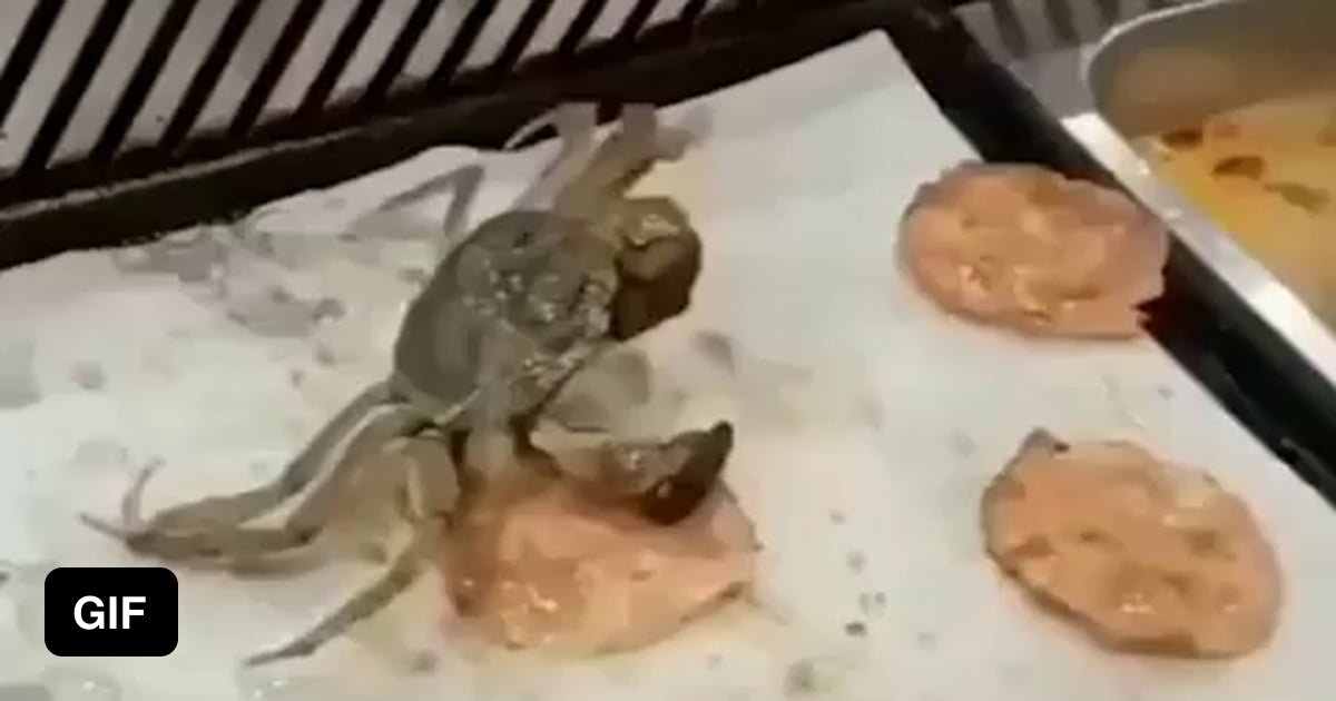 Oh crab! - 9GAG