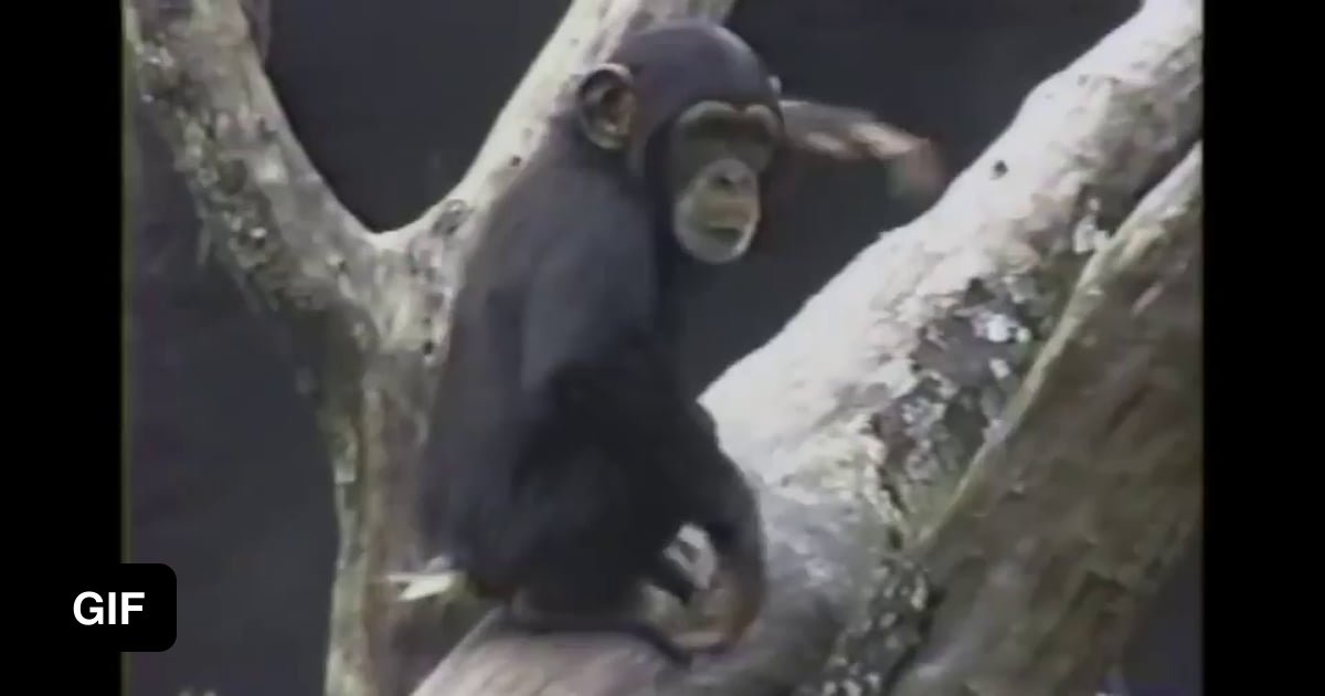 The Stink Finger. - 9GAG