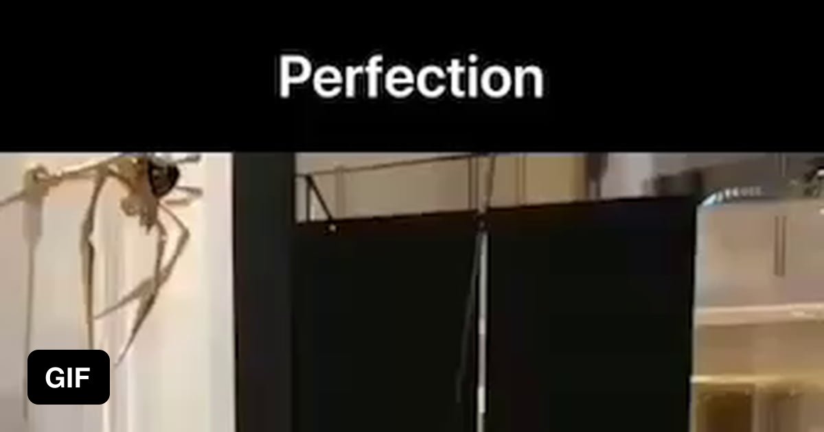 Perfection - 9GAG