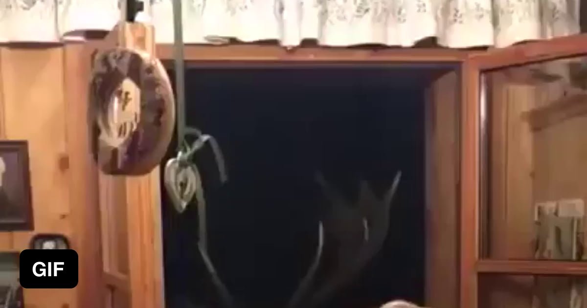 He monch the bred - 9GAG