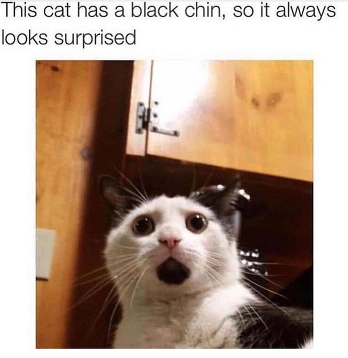Imitating Surprised Pikachu. - 9GAG